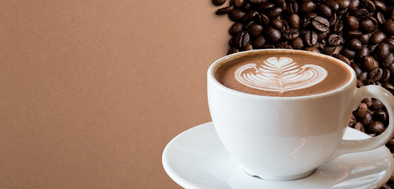 Zehigh Coffee | Authentic Ethiopian Coffee Delivered Fresh – ZEHIGH COFFEE